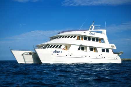 Athala Dreamkapture Travel